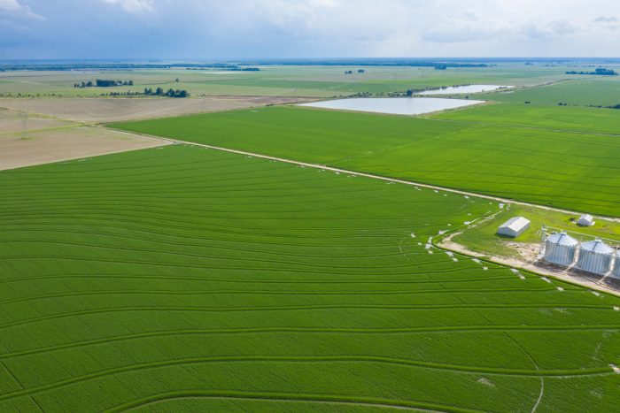 Analysis: Could changing the way we farm rice be a climate solution ...