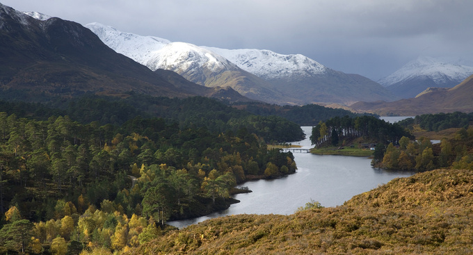 Rewilding projects are sprouting up across the UK – A greener life, a ...