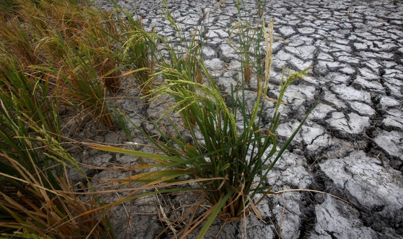 Analysis: Vietnam struggles to find solutions for extreme dry seasons ...