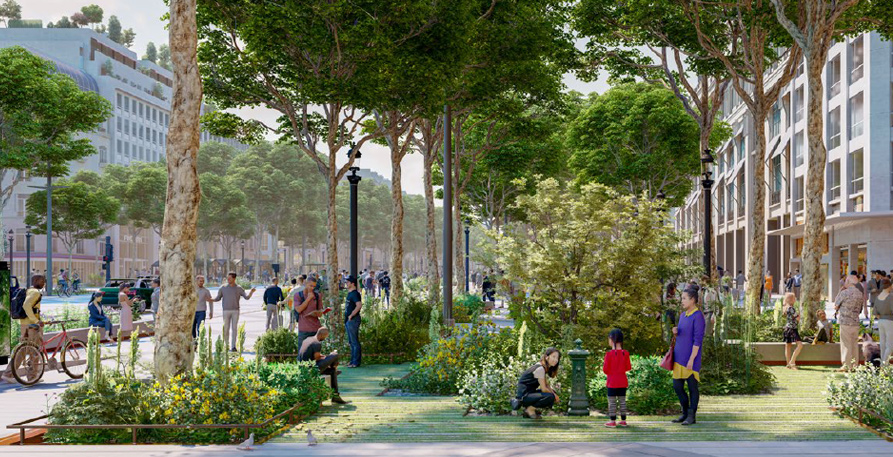 Analysis: How Paris is reclaiming the Champs Élysées – A greener life ...