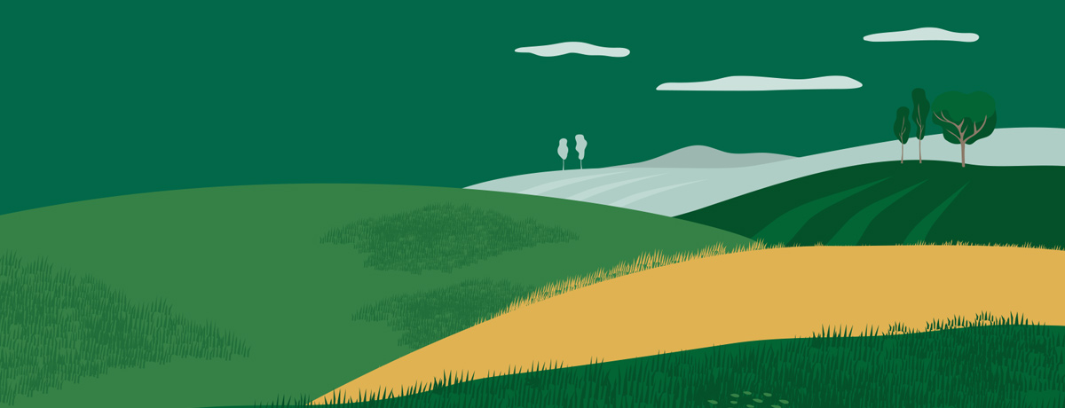 Rwanda’s circular economy plan – A greener life, a greener world
