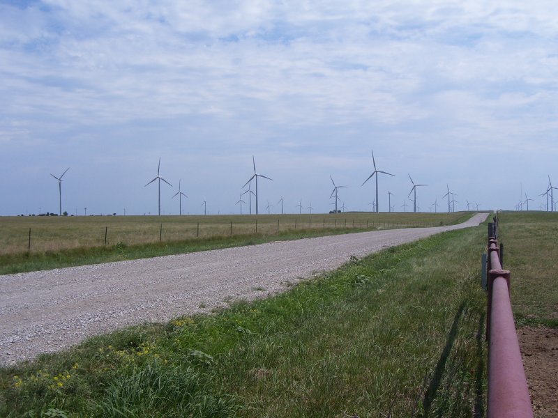 Interview: A cash crop that never runs out – A greener life, a greener ...