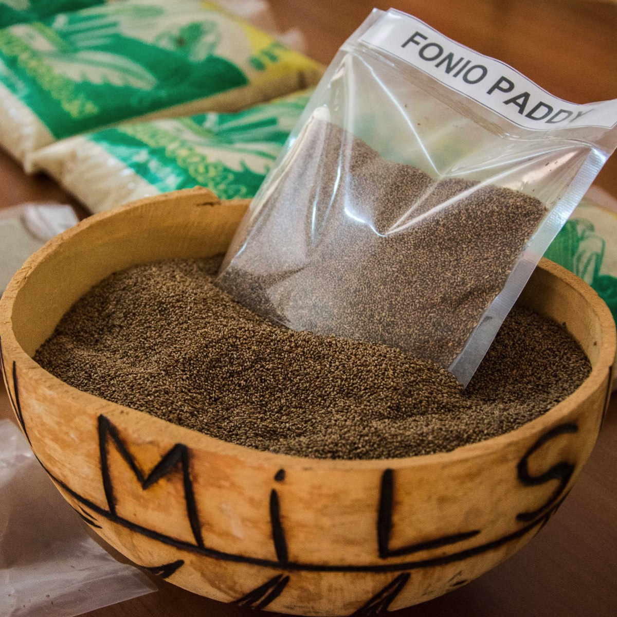 Fonio: The ancient supergrain set to combat climate change – A greener ...